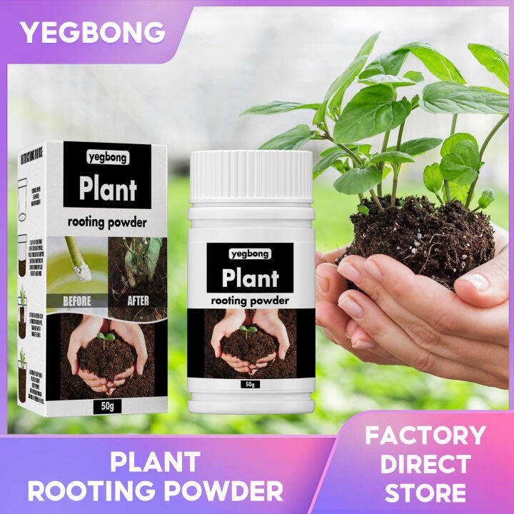 Yegbong Plant Rooting Powder Plants Nutrient Powder Plant Fruit Flower ...