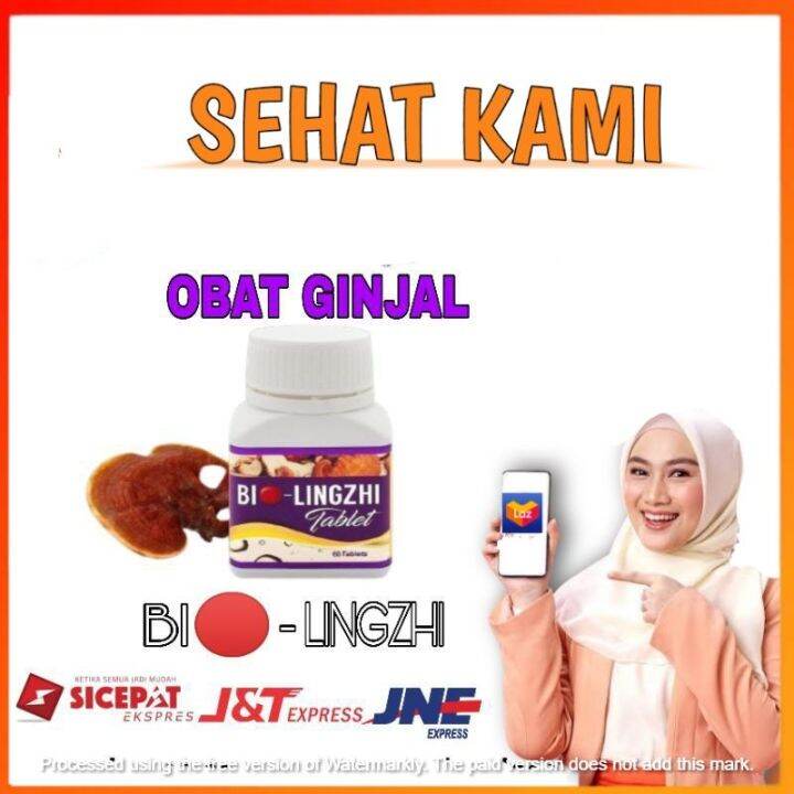 BioLingzhi Original Bio Ling Zhi Obat Untuk Kesehatan Ginjal 100% Asli ...