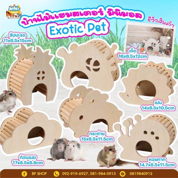 (Ratima) บ้านหลบไม้แฮมสเตอร์ บ้านหนูแฮมเตอร์ บ้านไม้สัตว์เลี้ยงมินิมอล ️พร้อมส่ง จากไทย ️บ้าน ...