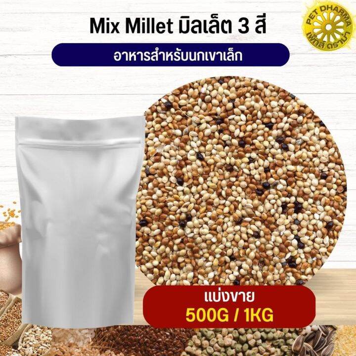 Mix Millet มิลเล็ตรวม อาหารนกเขาเล็ก อาหารนก กระต่าย หนู กระต่าย ชูก้า ...