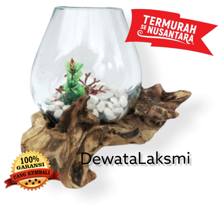 Aquarium tiup unik Akar kayu size 15cm Asli Bali / glasswood, survenir ...