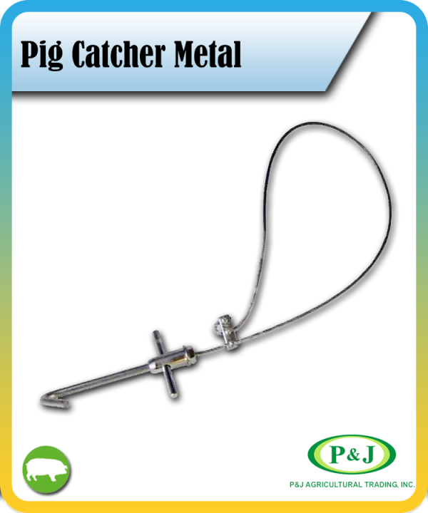 Pig Catcher / Metal | Lazada PH