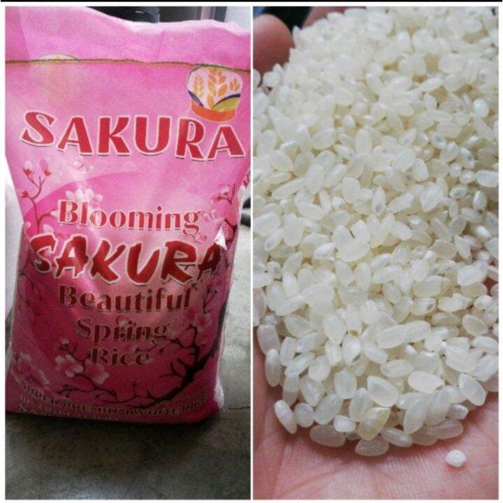 SAKURA Rice" 1KG / 5KG | Lazada PH
