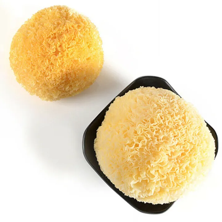 Great Tremella Fuciformis Snow Fungus Ball Edible Mushrooms Good for ...