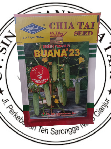Benih timun lalap Buana 23 20gram | Lazada Indonesia