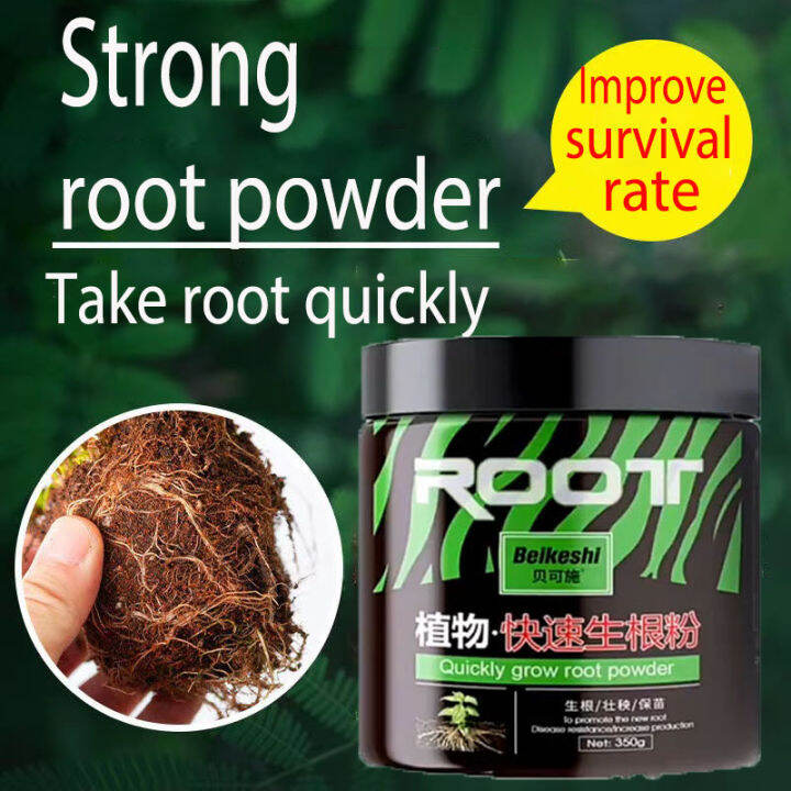 【Fast Plant Growth】Rooting powder for plants Fast Rooting Rapid Rooting ...