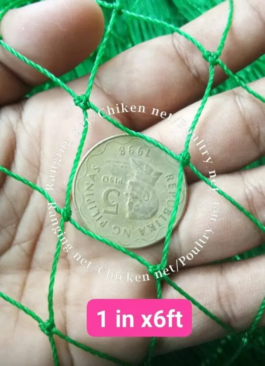 50 meters-1 inch x6ft -Range net/chicken net/poultry net/fishing net ...