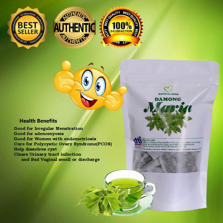 MAGICAL HERB Pure & Authentic Damong Maria Tea Mugwort Organic ...