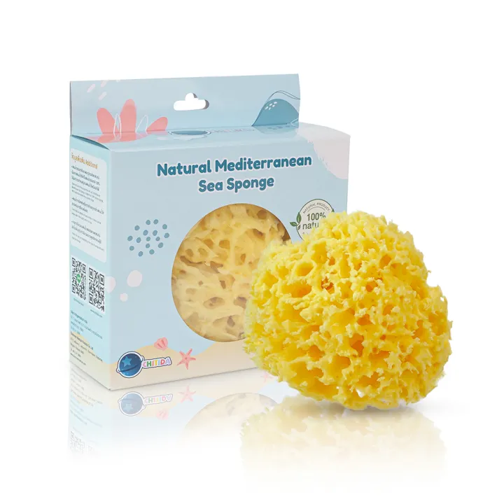 Chitida Natural Mediterranean Sea Sponge ฟองน้ำธรรมชาติ 100% ชนิด Honey ...