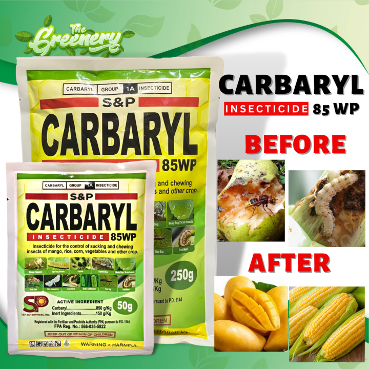 CARBARYL 85WP INSECTICIDE (250 G & 50 G) | Lazada PH