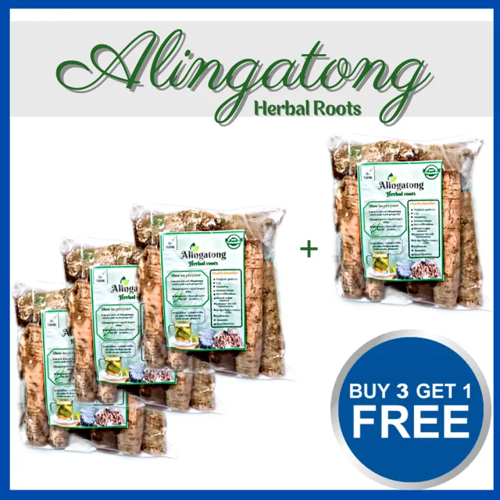MIRACLE ALINGATONG HERBAL ROOTS RED VARIANT (3+1 KILO FREE PROMO ...