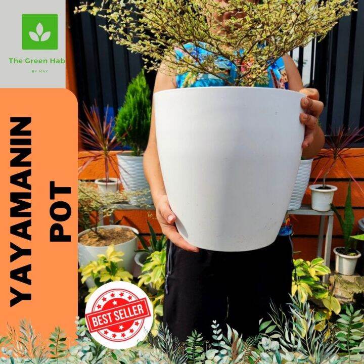 TGH | Elegant and Luxurious Yayamanin Pots for plants small to big size ...
