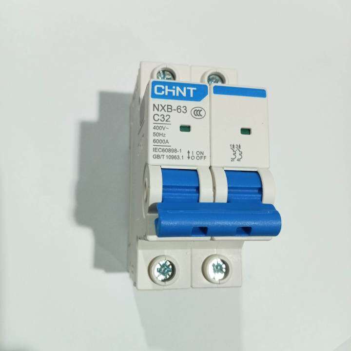 NXB-63 C32 Chint Circuit Breaker (2Poles) | Lazada PH