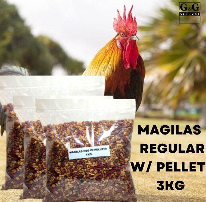 [G&G] 3KG REGULAR CONCENTRATE WITH PELLET / PARA SA MANOK / PATUKA SA MANOK | Lazada PH
