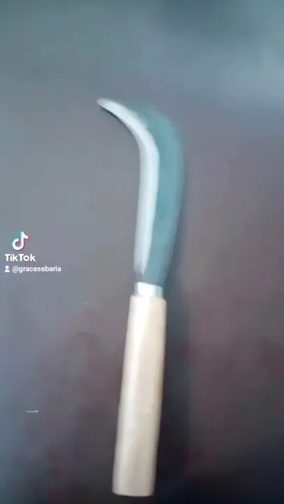 PANTABAS WITH WOODEN HANDLE | Lazada PH