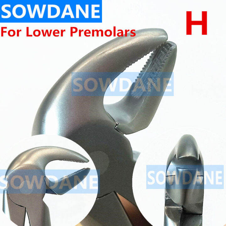 High Quality Stainless Steel Dental Tooth Extraction Plier For Lower ...