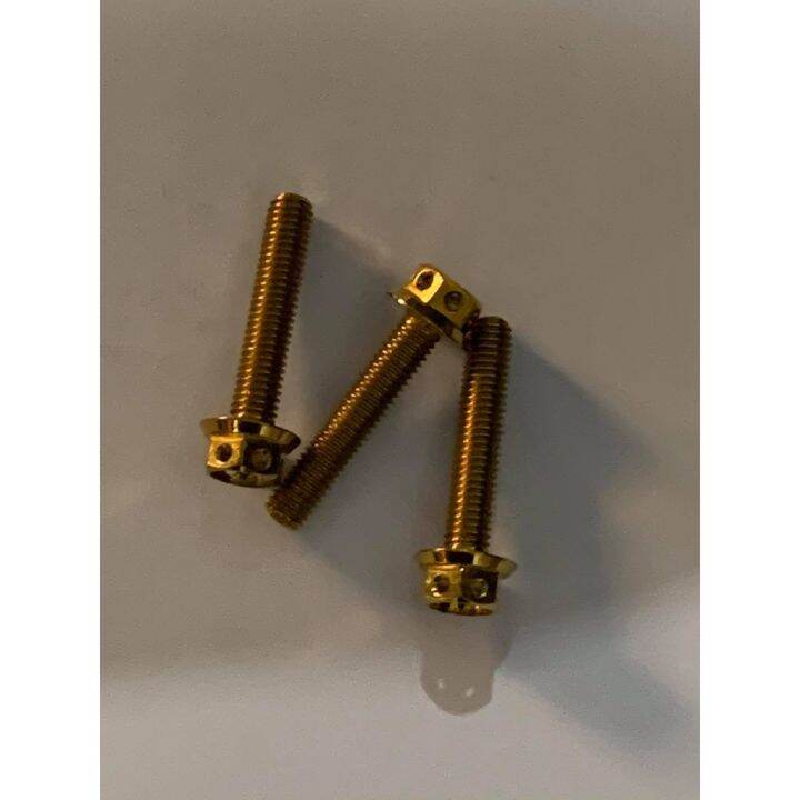 MOTORCYCLE HENG GOLD BOLTS 8X40 PER PC. | Lazada PH