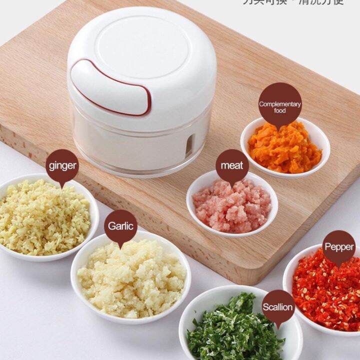 FS New SPEEDY CHOPPER Hand-Powered Portable Food Processor, Manual ...