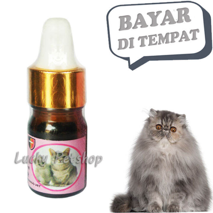 Obat Kutu Kucing PROLINE Tetes Anti Parasit Caplak Basmi Pinjal Fast ...