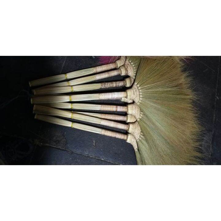 practical Baguio NEW ! 9 fingers walis | Lazada PH