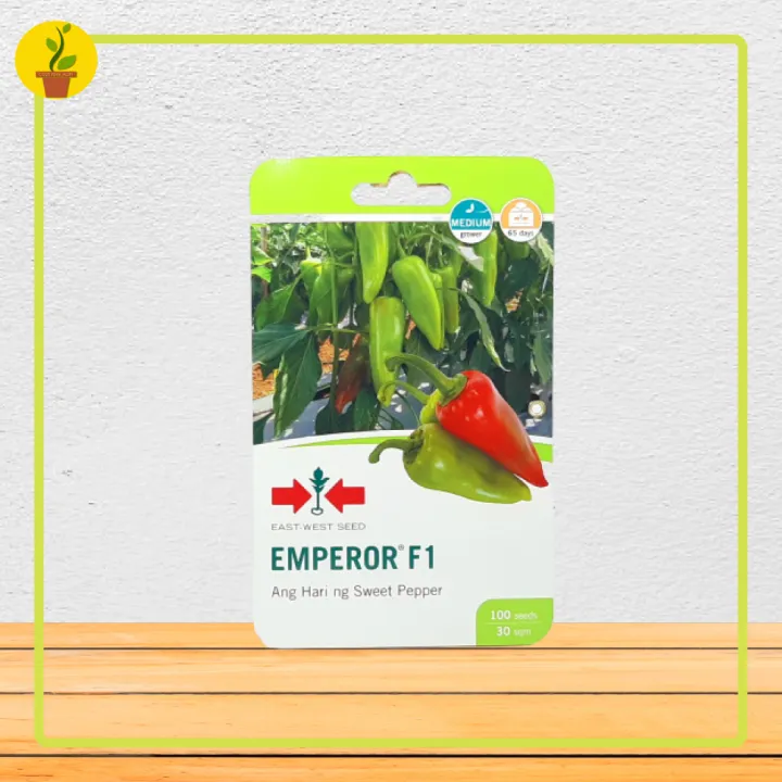 Sweet Pepper Seeds (Emperor F1 Variety) [Conical Type] 120 Seeds Packet ...