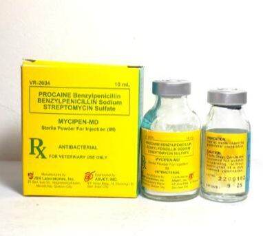 [G&G] MYCIPEN - MD / 10ML / STERILE POWDER FOR INJECTION / ANTI ...