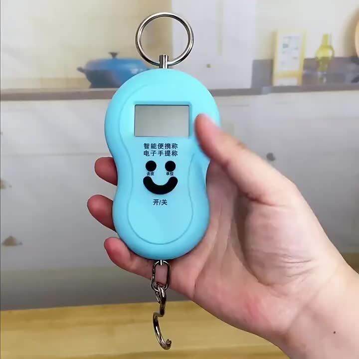 Spot parcel post Portable Electronic Scale Handheld Scale Hook Scale ...