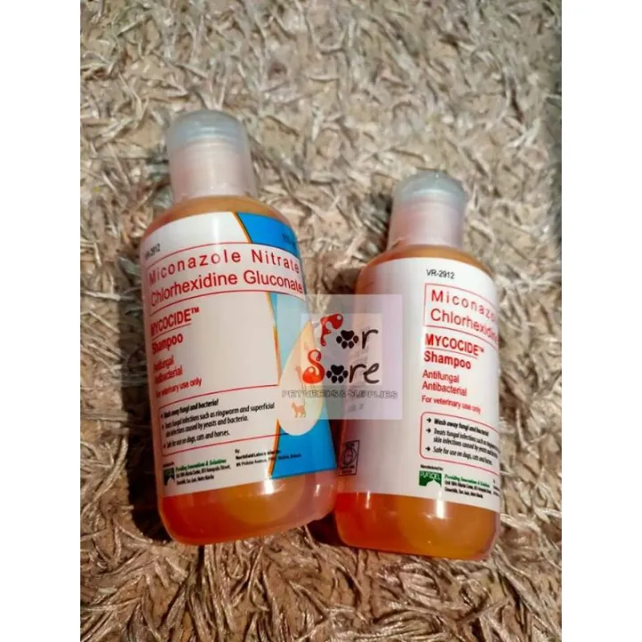 Mycocide Antifungal Shampoo 150ml | Lazada PH