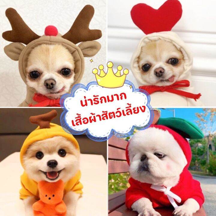 【Dargly】เสื้อผ้าสัตว์เลี้ยง หมา แมว เสื้อฮู้ดผลไม้ชุดหมาน่ารัก คริสต์มาส เสื้อผ้าเขากวาง ...