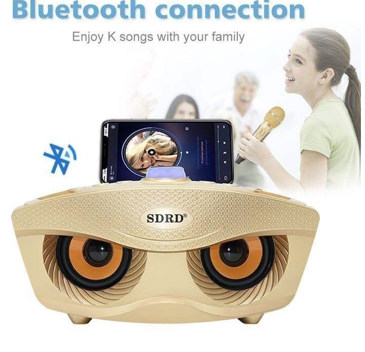 SDRD SD306 / SDRD SD 306 plus Wireless Bluetooth Dual Microphone Home Karaoke Portable Speaker ...