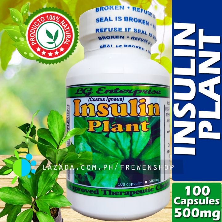 INSULIN PLANT CAPSULE 500mg x 100 Capsules Natural Supplement | Lazada PH