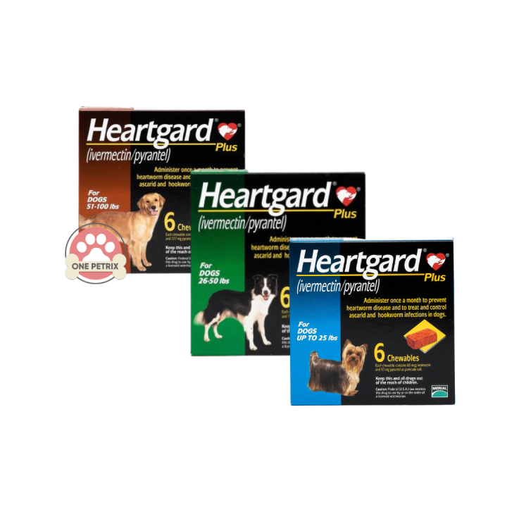 Heart.gard Plus 1BOX (6PCS.) | Lazada PH