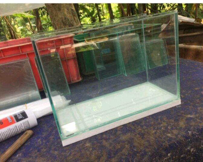 Aquarium 30x15x15 soliter ikan cupang aquarium chana aquarium chana ...