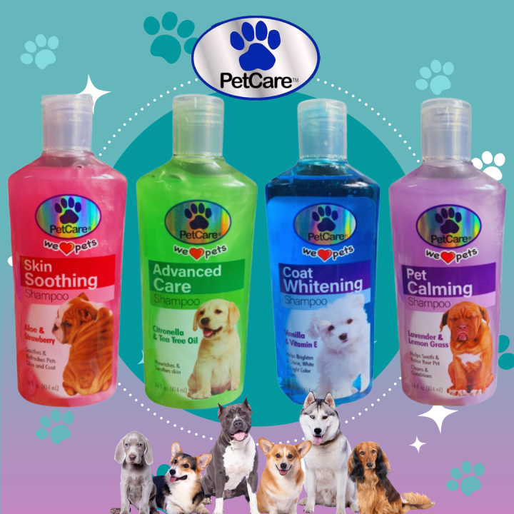 PetCare Shampoo 14 fl. oz. (414ml) | Lazada PH
