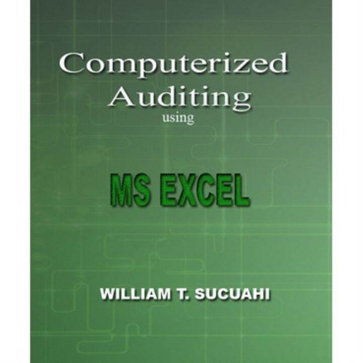Computerized Auditing using MS Excel | Lazada PH