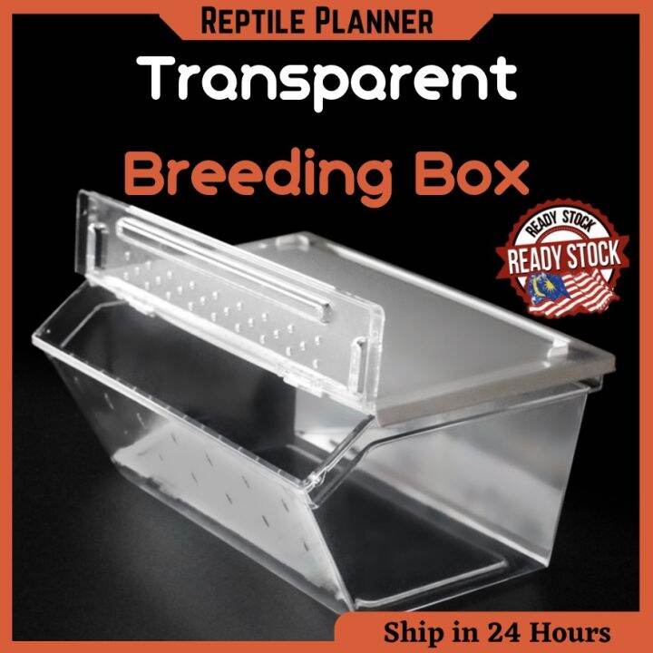 Reptile Plastic Breeding Box Shelter Insects Horn Frog Gecko Lizard ...
