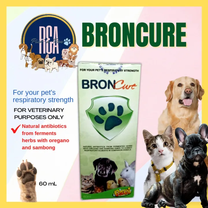 Broncure60ml for Cats,Dogs,Rabbits Respiratory infection/asthma,watery ...