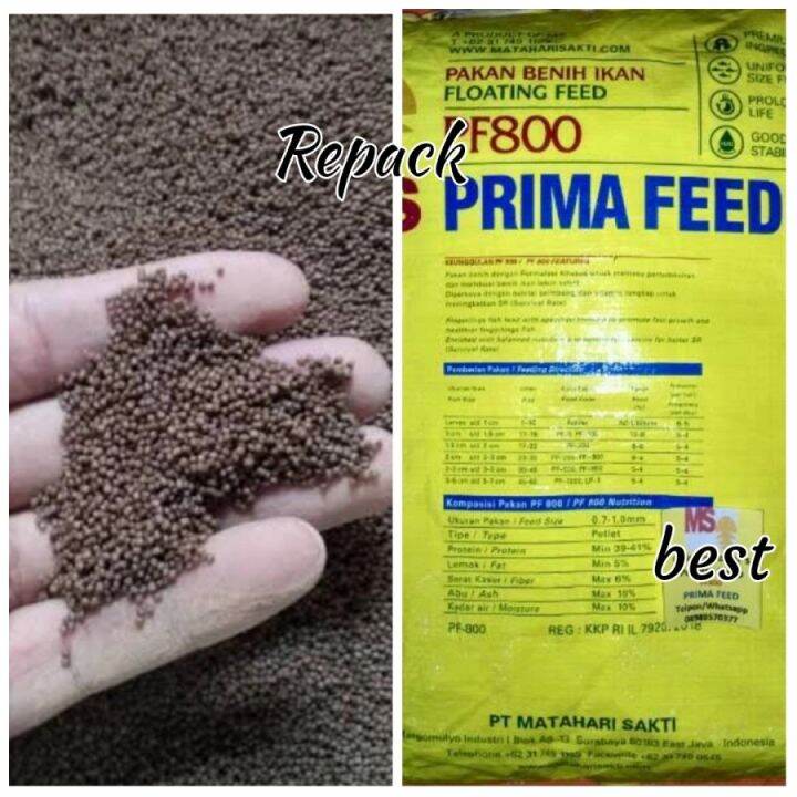 Pakan Ikan Prima Feed PF800 kemasan repacking 1 kg | Lazada Indonesia