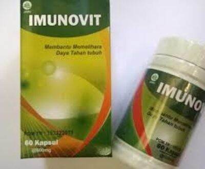 Kapsul IMUNOVIT Herbal Insani Memelihara Daya Tahan Tubuh | Lazada ...