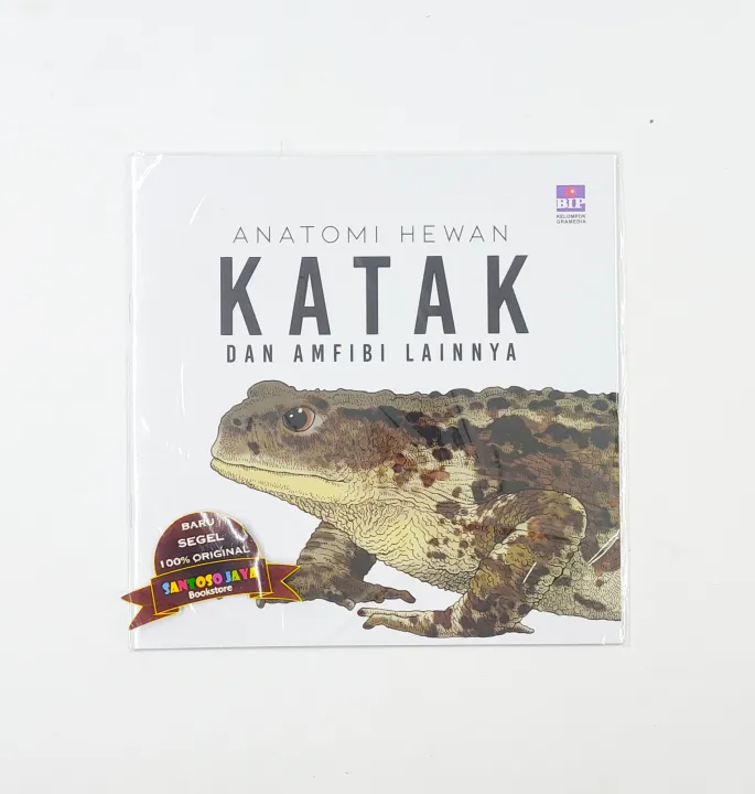 Seri ANATOMI HEWAN - Katak Dan Amfibi Lainnya by David West | Lazada ...