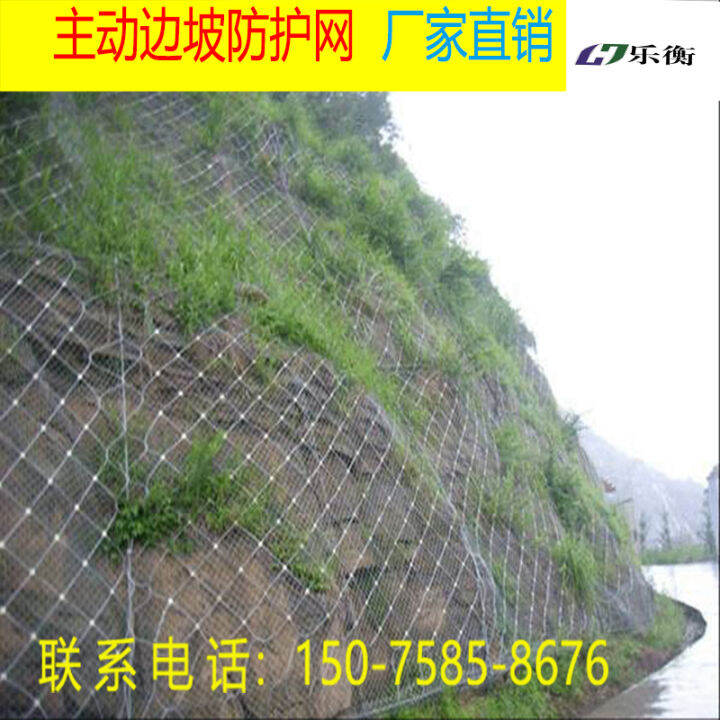 Active Slope Protection Network SNS Flexible Highway Slope Protection ...