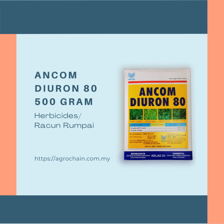 ANCOM DIURON - 500 GRAM (RACUN RUMPAI/除草药/HERBICIDE)Rumput Kerbau ...
