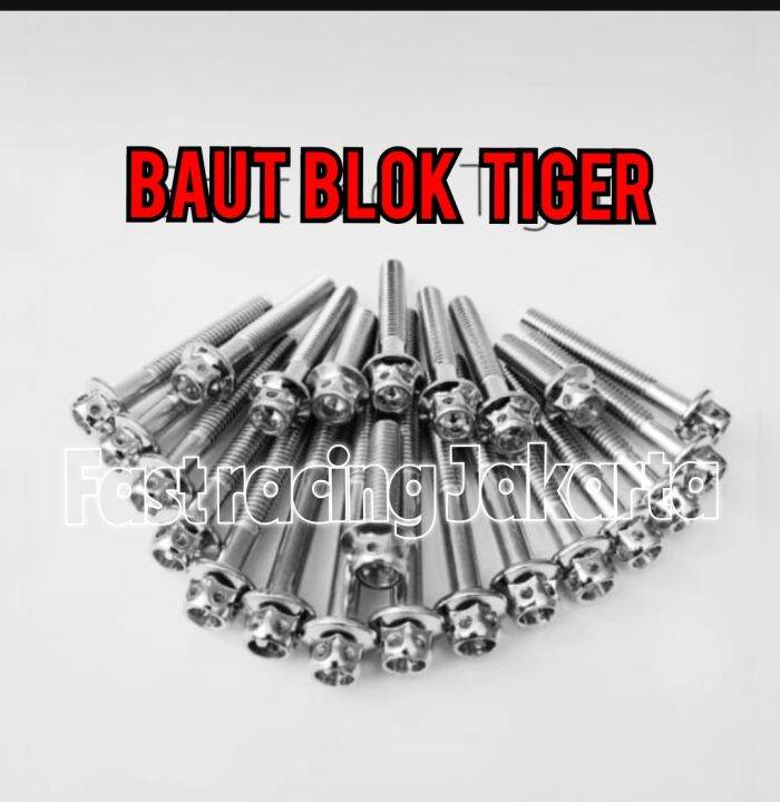 BAUT PROBOLT BLOK TIGER CHROME BAUT BLOK MESIN HONDA TIGER CROME 1SET BAK MESIN TIGER | Lazada ...