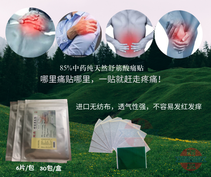 正品龍昌舒筋酸痛贴Authentic LongChang Herbal Pain Relief Plaster / Medicated ...