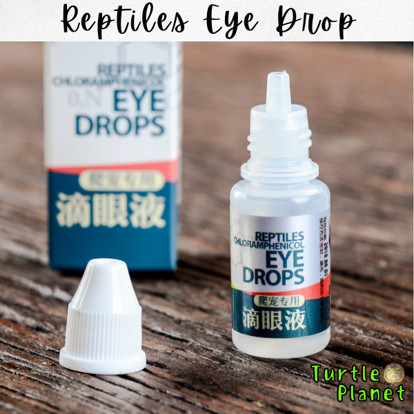 Reptile Eye Drop White Eye Disease Eye Infection Sick Turtle Tortoise ...