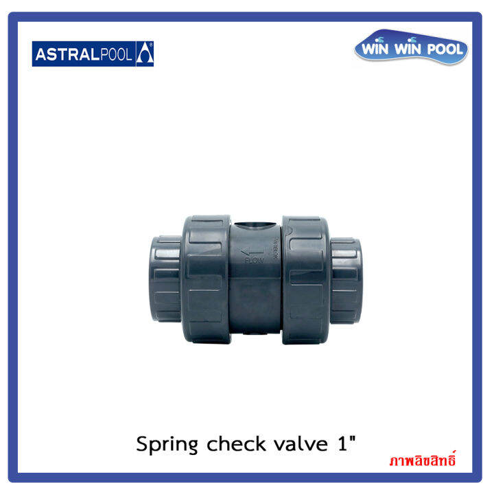 Astralpool Spring Check Valve 1" ป้องกันการไหลกลับ ชนิดสปริง | Lazada.co.th