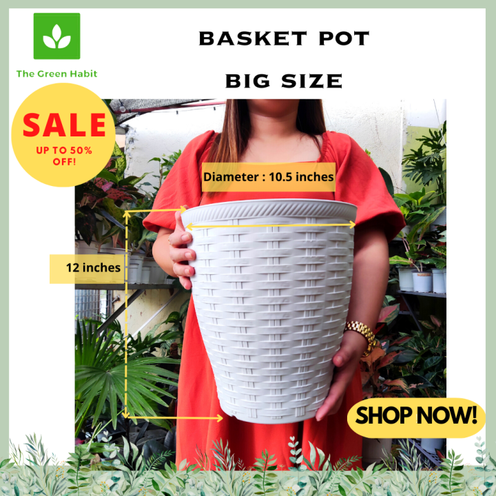 TGH WHITE ELEGANT Basket Pots for plants Big size White pots for plants ...