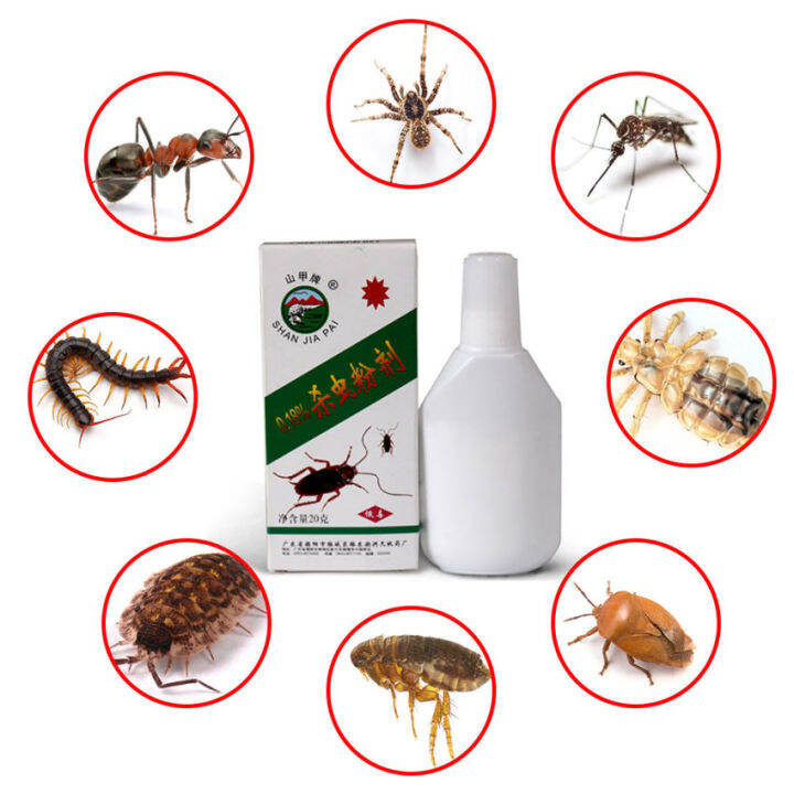 【In Stock+High Quality】Insecticide Cockroach Bug Killer Powder ...
