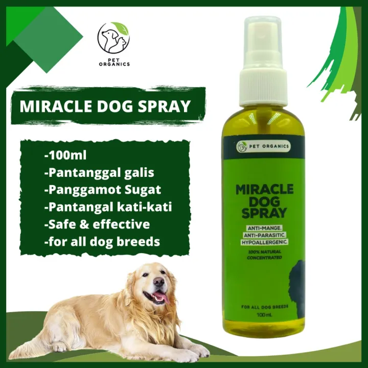 (FOR ALL DOG BREEDS) 100% Miracle Dog Spray Best for Anti-Mange, Anti ...