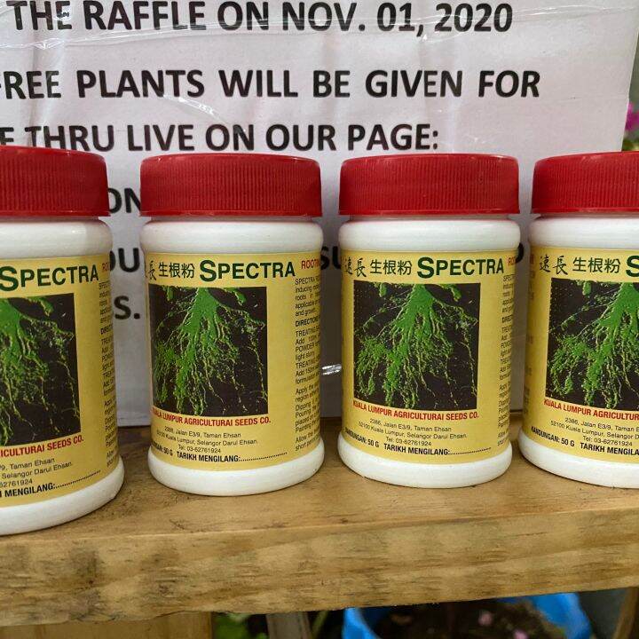 Spectra Rooting Powder (50g) | Lazada PH